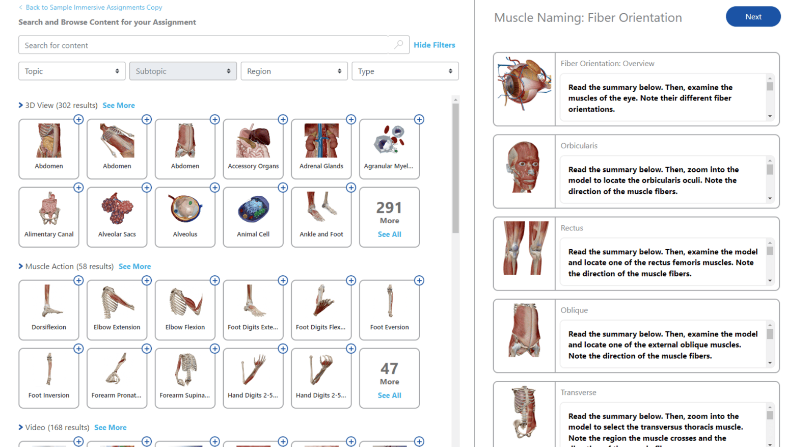 How to Teach Muscle Naming with Immersive Assignments